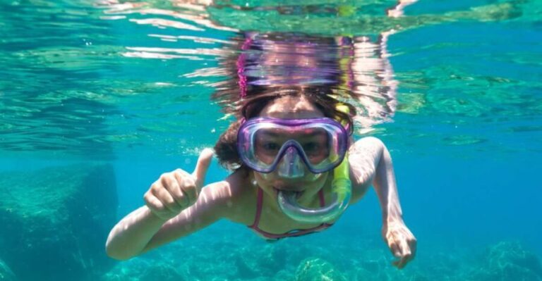 Olbia: Dolphin Watching and Snorkeling Boat Tour - Who Should Book This Tour?