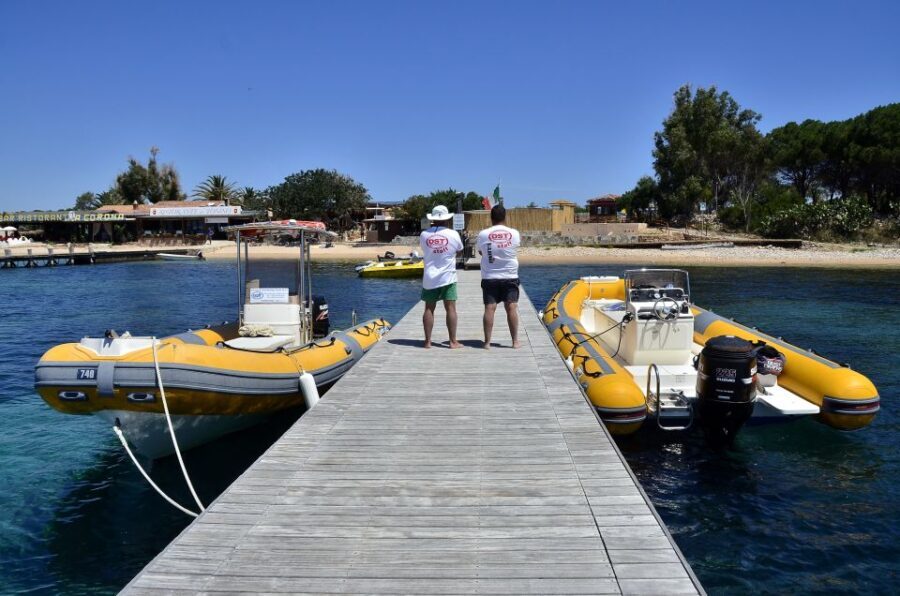 Olbia: Tavolara and Molara Snorkeling Boat Tour - Who Should Consider This Tour?