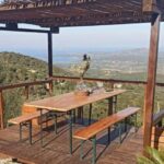 Olbia: visit a gin-making factory with tasting - The Small-Group Benefit