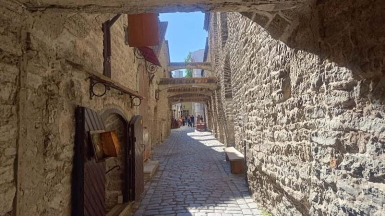 Old Tallinn & Medieval daily life Private Tour - Who Should Book This Experience?
