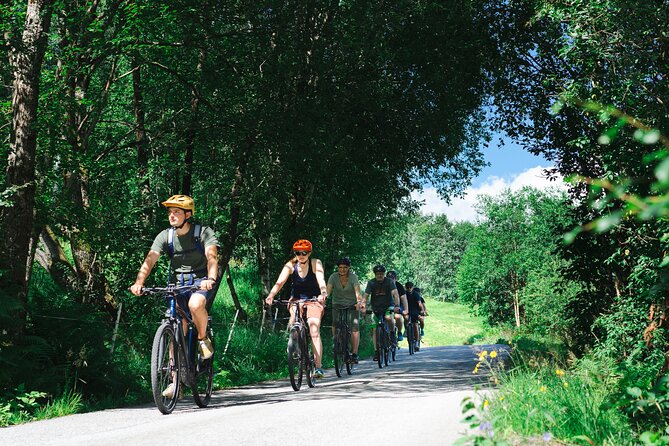 Olden: Fjord e-bike tour - Key Points