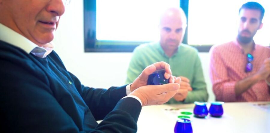OleoAlmanzora: Guided tour + Masterclass of EVOO tasting Eng - Exploring the Olive Oil Journey in Pulpí