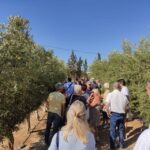 OleoAlmanzora: Guided tour olive groves and EVOO facilities - What Makes This Tour Special?
