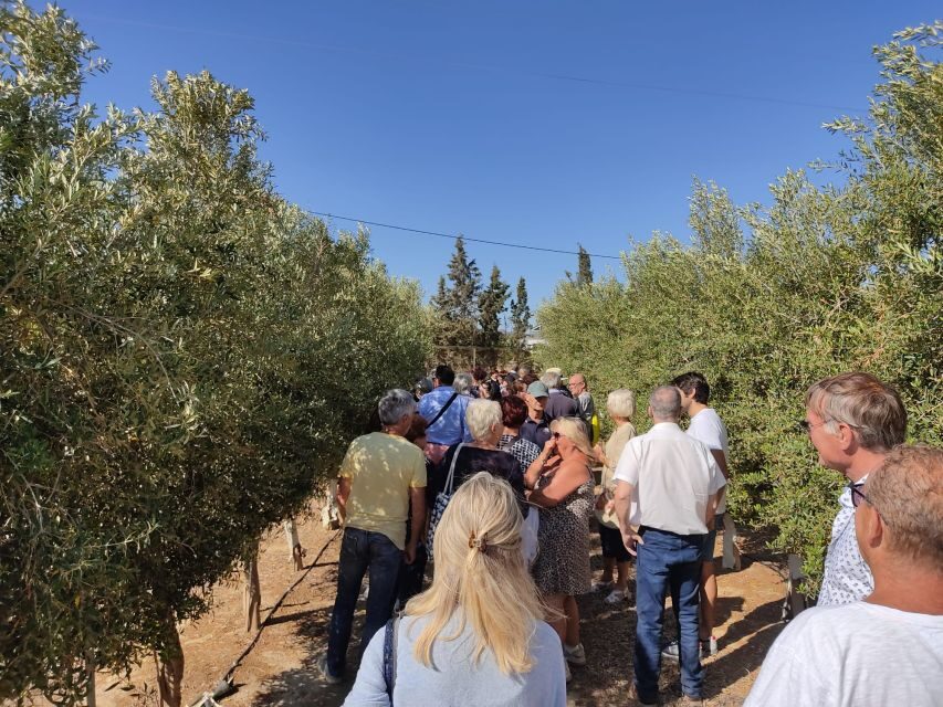 OleoAlmanzora: Guided tour olive groves and EVOO facilities - What Makes This Tour Special?