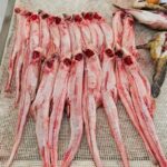 Olhão Fish Market & Food Tour - The Experience in Detail: What to Expect at Olhãos Fish Market & Food Tour