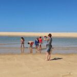 Olhão:5h ride 3 stops on the beaches and islands Ria Formosa - The Breakdown of Each Stop