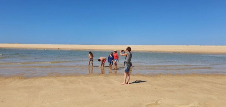 Olhão:5h ride 3 stops on the beaches and islands Ria Formosa - The Breakdown of Each Stop