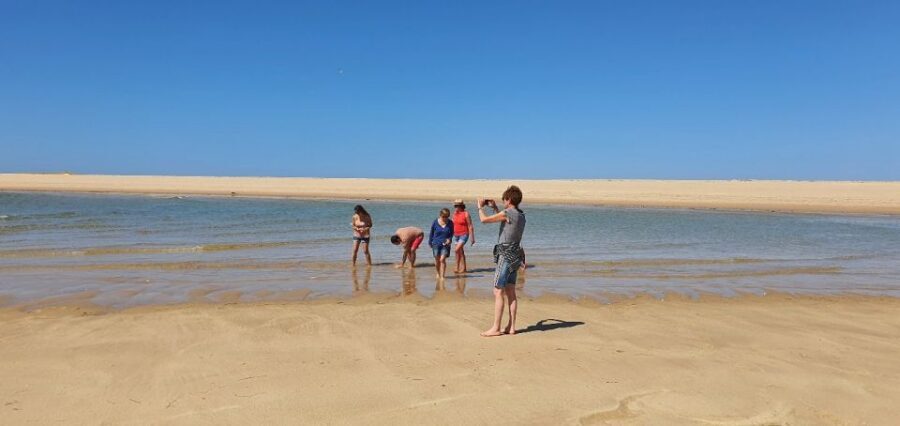 Olhão:5h ride 3 stops on the beaches and islands Ria Formosa - The Breakdown of Each Stop