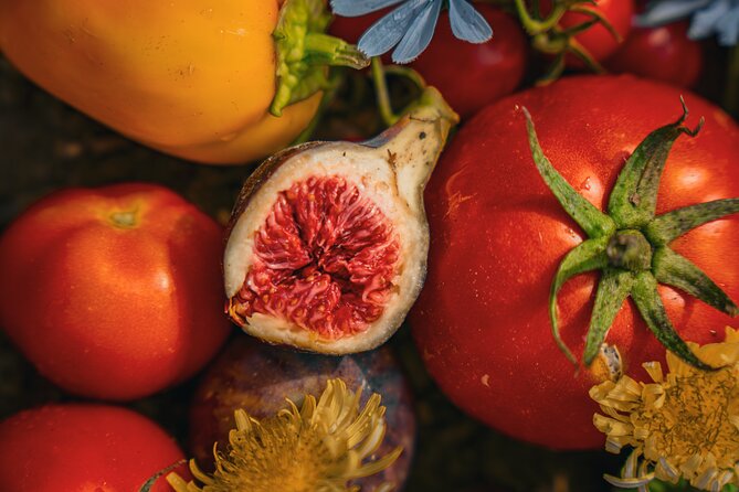 Olive farm & village - Key Points
