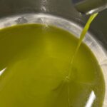 Olive Mill Tour and Tasting in the Padua Hills - The Experience: A Detailed Exploration