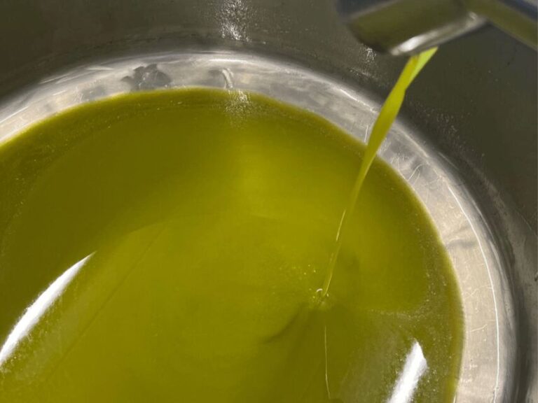 Olive Mill Tour and Tasting in the Padua Hills - The Experience: A Detailed Exploration