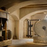 Olive Mill Tour and Tasting in the Verona Countryside - An In-Depth Look at the Tour