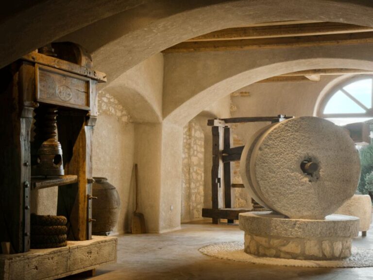 Olive Mill Tour and Tasting in the Verona Countryside - An In-Depth Look at the Tour