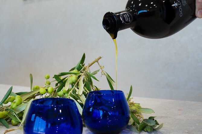 Olive Oil and Winery Tour from Zaragoza City - A Practical Guide to the Olive Oil and Winery Tour from Zaragoza