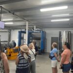 Olive Oil Factory from Sevilla Private Tour - A Detailed Look at the Tour