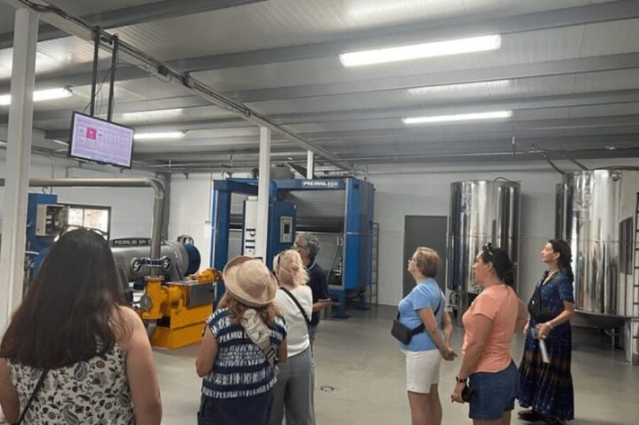 Olive Oil Factory from Sevilla Private Tour - A Detailed Look at the Tour