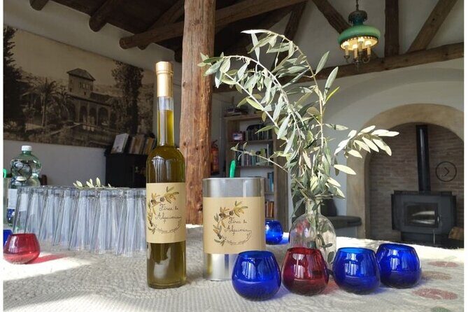 Olive Oil Half Day Private Experience from Granada - What’s Included and What’s Not