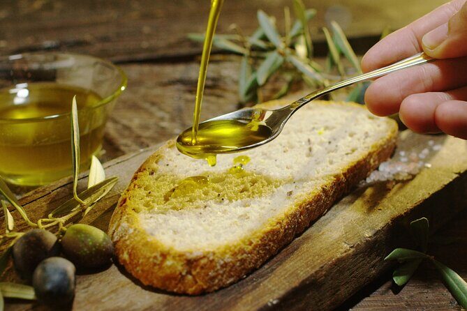 Olive Oil Private Tour in Portugal - An In-Depth Look at the Olive Oil Private Tour