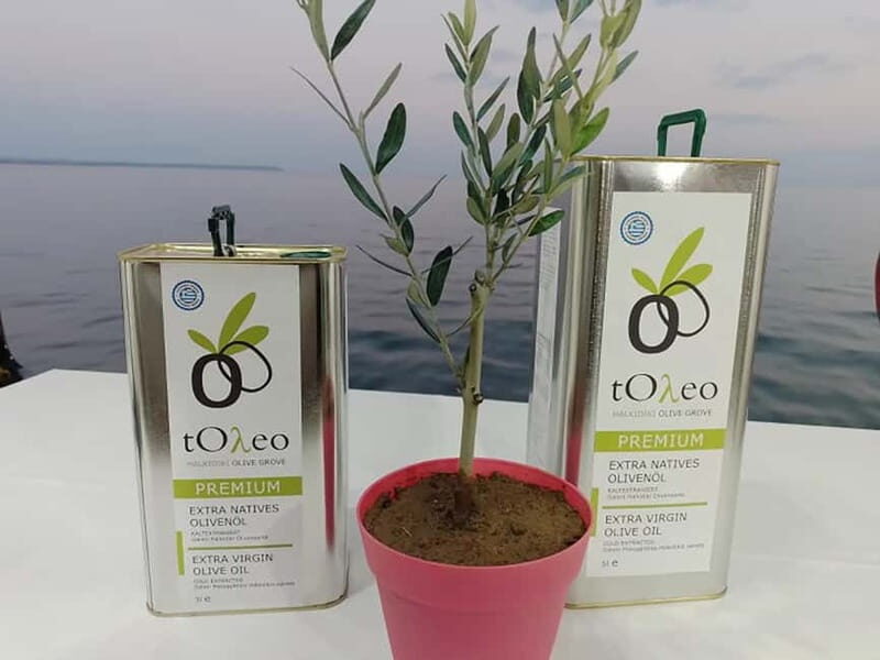 Olive Oil Seminar with Tasting in Metaggitsi - Halkidiki. - Deep Dive into the Itinerary and Whats Included