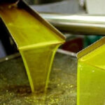 Olive oil Tasting 3-hour Trip from Chania Souda Cruise Port - Who Should Consider This Tour?