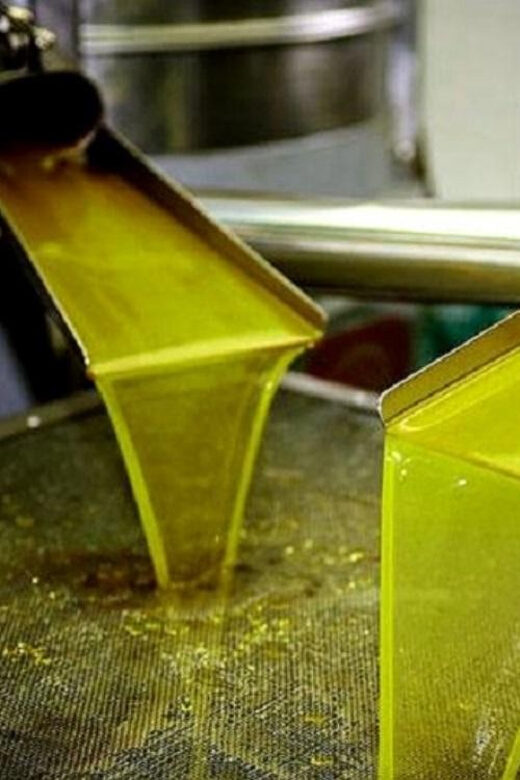 Olive oil Tasting 3-hour Trip from Chania Souda Cruise Port - Who Should Consider This Tour?