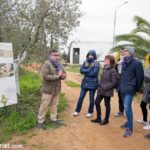 Olive Oil Tasting and Culinary Day Trip in Carmona - The Itinerary in Detail: What to Expect