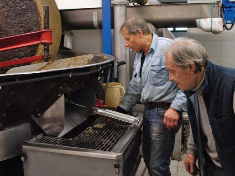 Olive Oil Tasting and Visit at Lake Como - Final Thoughts