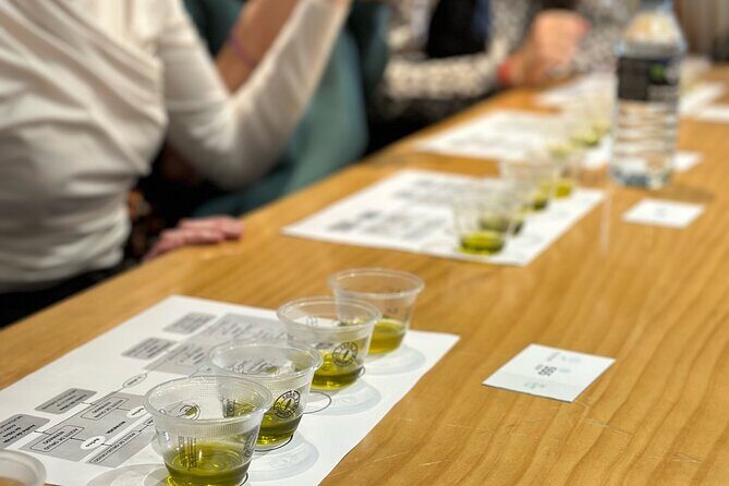 Olive Oil Tasting Experience in Sevilla - What to Expect from the Olive Oil Tasting Experience