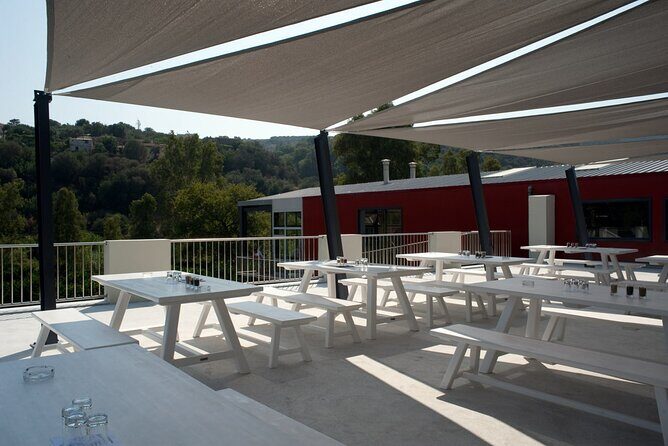Olive Oil - Wine - Beer Private Tour (price per group of 6) - What to Expect