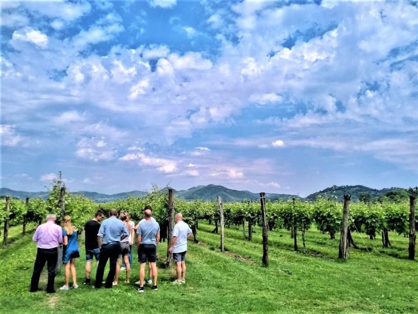 Olive Oil & Wine in the Euganean Hills From Terme - Who Will Love This Tour?
