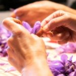 Olmedo: visit to the saffron workshop with tasting - What Makes This Tour Stand Out?