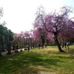 Olympic site all-inclusive private tour with a local expert - Exploring Ancient Olympia: The Core Experience