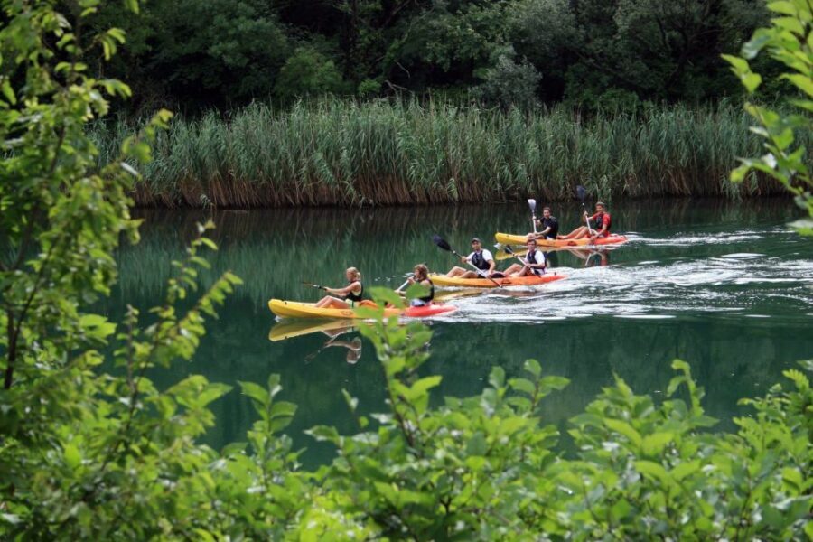 Omi: Kayaking and Snorkeling Tour - Why This Tour Offers Good Value