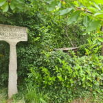 On the Tracks of Memory: The Railway History of Vila Real - A Walking Tour Steeped in History and Landscape