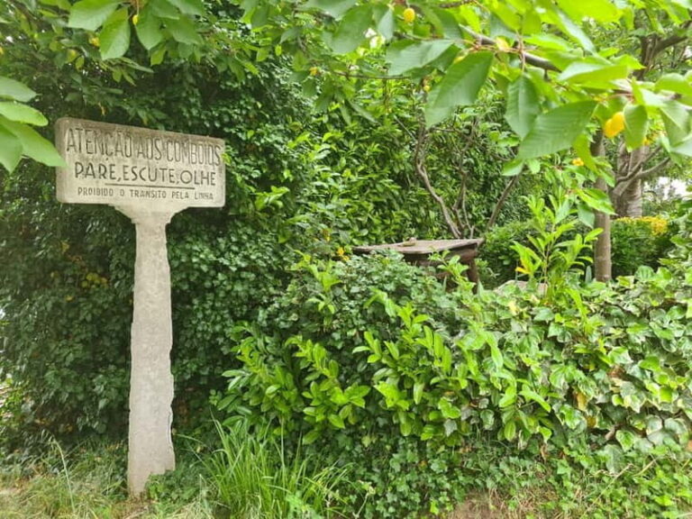 On the Tracks of Memory: The Railway History of Vila Real - A Walking Tour Steeped in History and Landscape