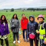 One Day Cotswolds Walking Tour - Who Is This Tour Best For?