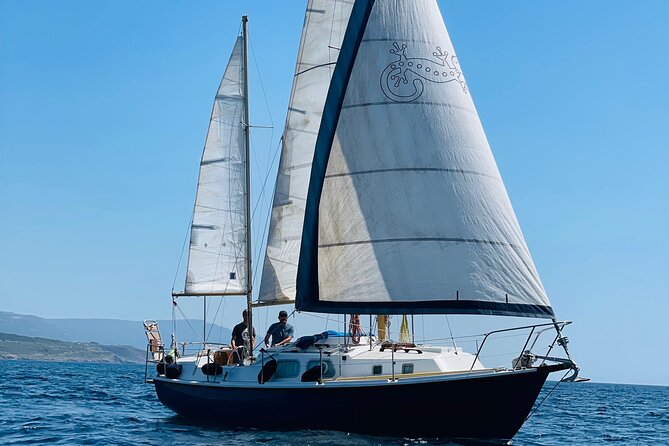 One day excursion on a sailing boat in the Gulf of Alghero - Key Points