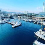 One-hour High-Speed Powerboat Ride - The Sum Up: Who Will Love This Tour?