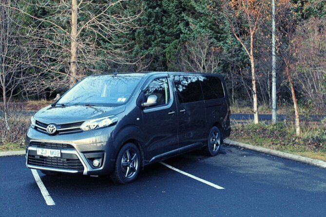 One-Way Private Transfer from Blue Lagoon to Reykjavik - The Details That Matter