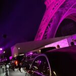 One-way private transfer from Paris Airports - The Practicalities: What to Expect and Worth Knowing