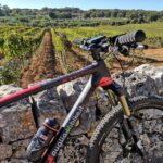 Open guided bike tour in Locorotondo and Alberobello - Why This Tour Stands Out