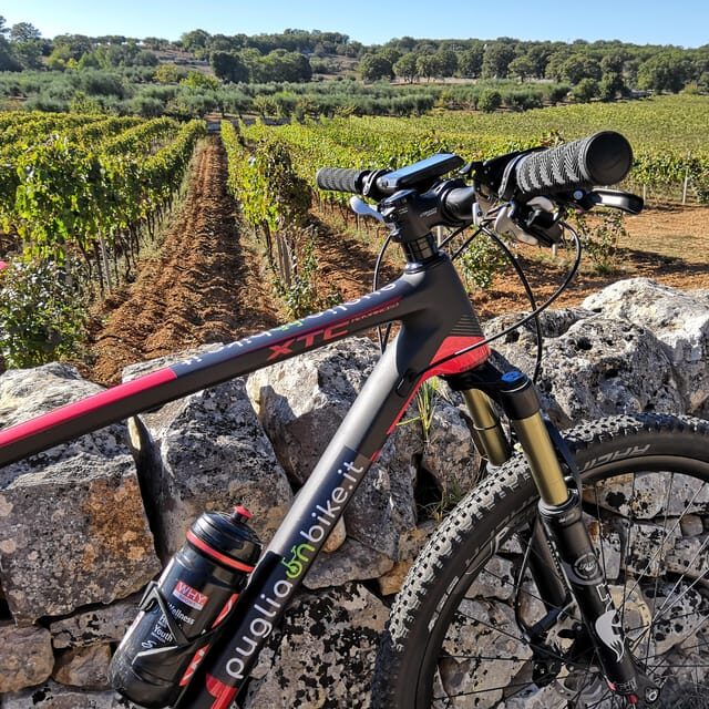 Open guided bike tour in Locorotondo and Alberobello - Why This Tour Stands Out