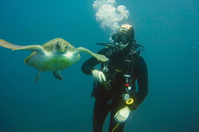 OPEN WATER CERTIFICATION - Become an autonomous diver up to 18m ! - An In-Depth Look at the Tenerife Open Water Certification Experience