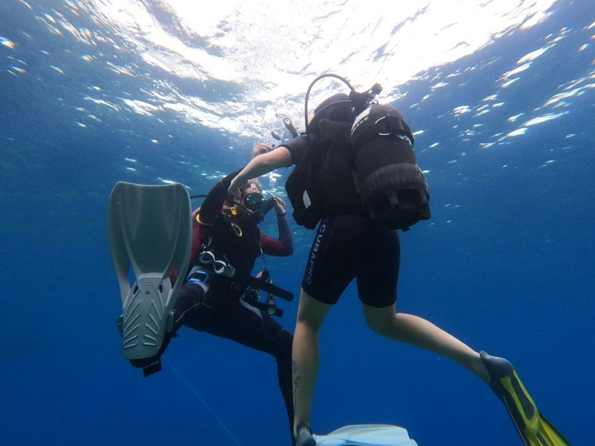 Open Water Diver 1st level course in Villasimius - What the Course Includes and How It Works