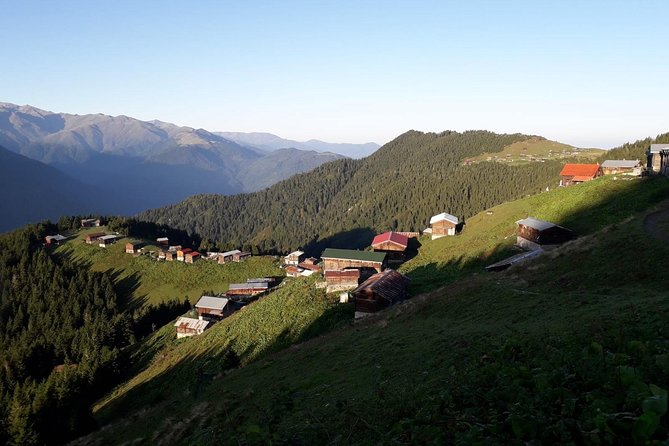 Organic Pokut Tour - Key Points