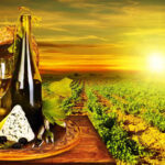 Organic Wine Tasting with Saint paul Half Day Tour from Nice - What’s Included and What to Expect