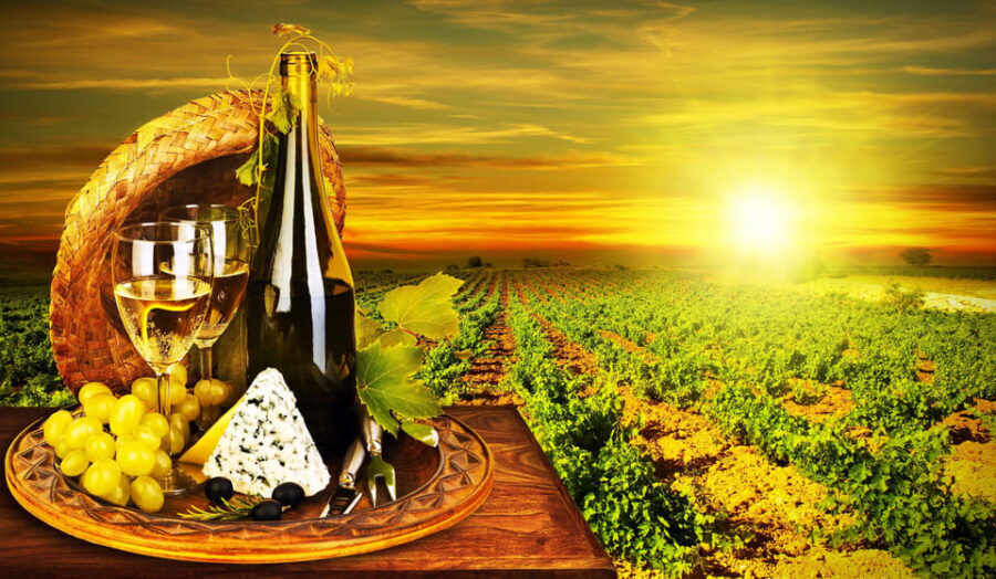 Organic Wine Tasting with Saint paul Half Day Tour from Nice - What’s Included and What to Expect