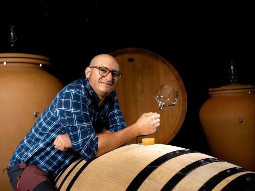 Organic Winery Visit near Turin with Wine & Food Tasting - Final Thoughts: Is It Worth It?