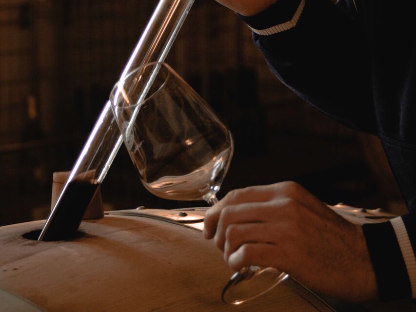 Organic Winery Visit & Wine Tasting with Food in Pavia - Why This Tour Stands Out