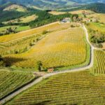 Organic Winery Visit with Tasting in Bilbao - Is It Worth the Price?